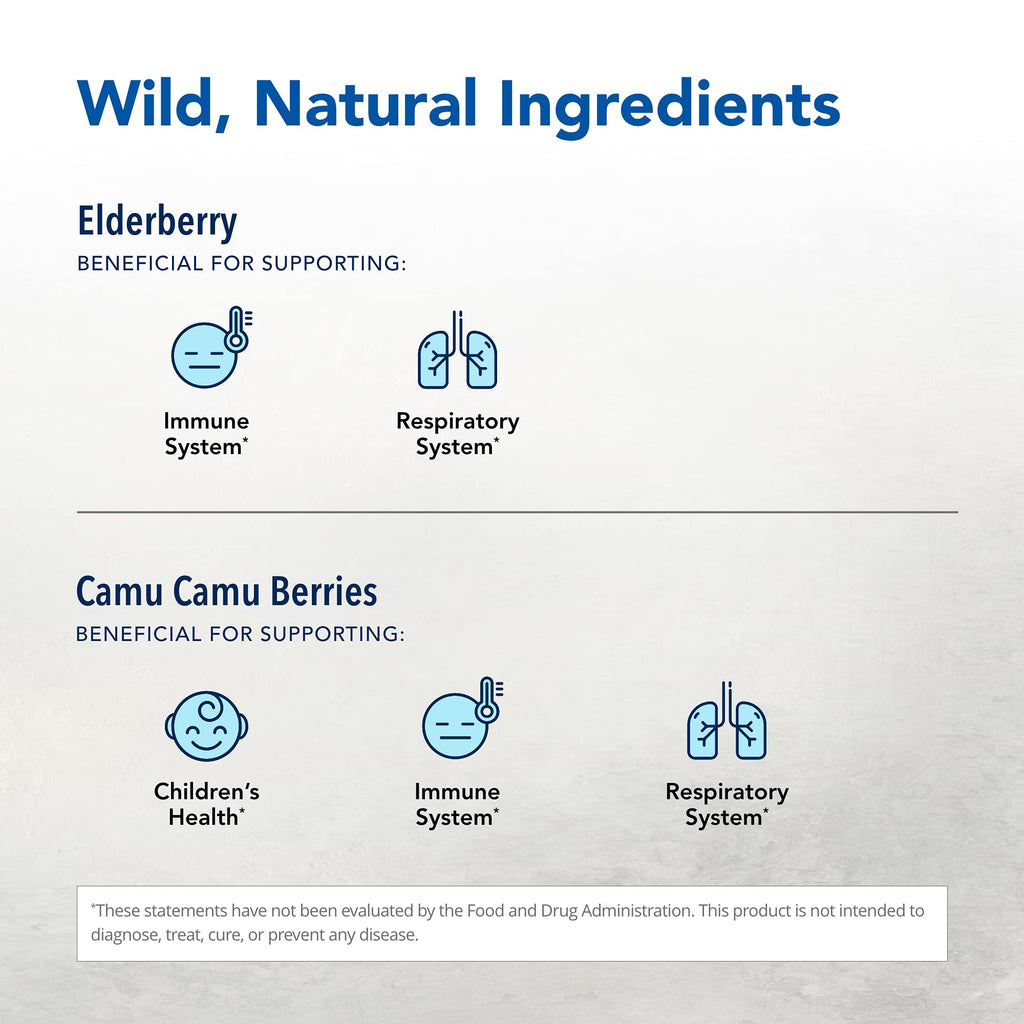 Elderberry for healthy respiratory response