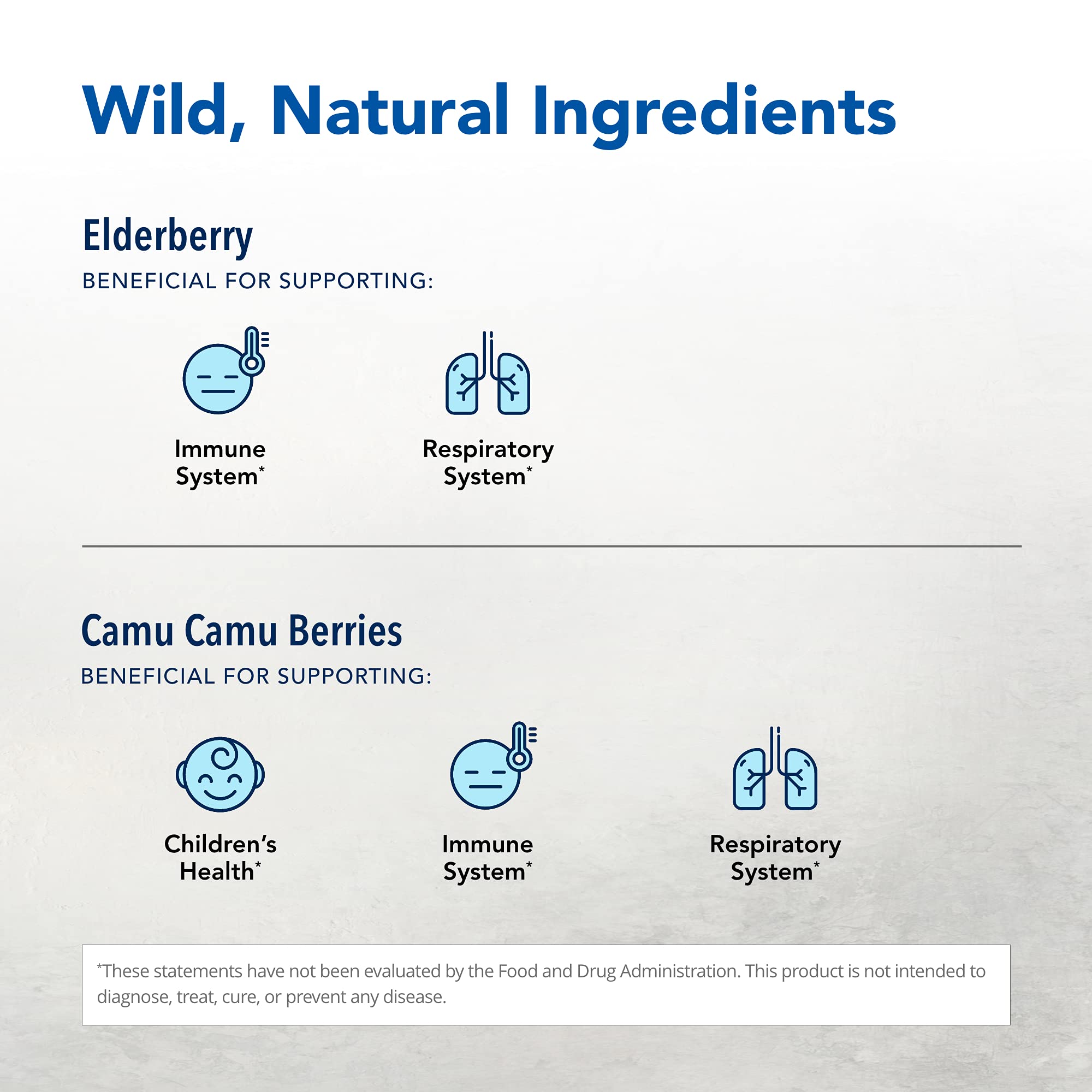 Elderberry for healthy respiratory response
