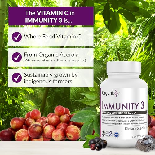 Elderberry for kids' immune health