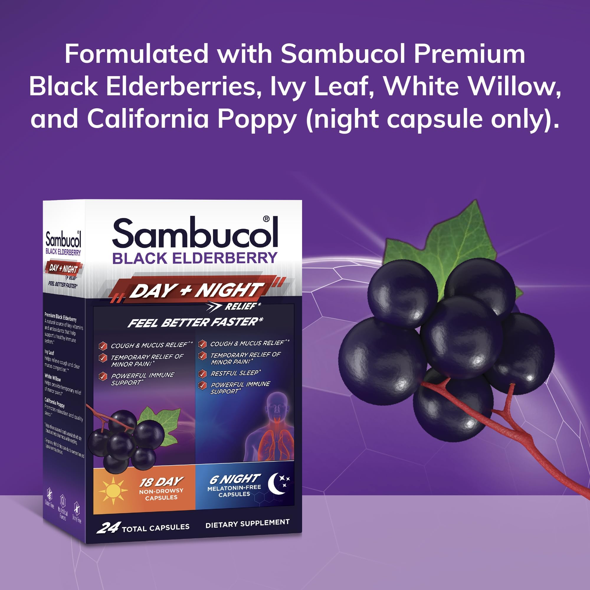 Elderberry for natural immune defense