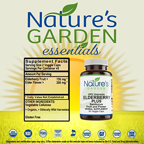 Elderberry for seasonal health support