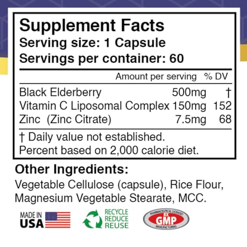 Elderberry for seasonal immune boost