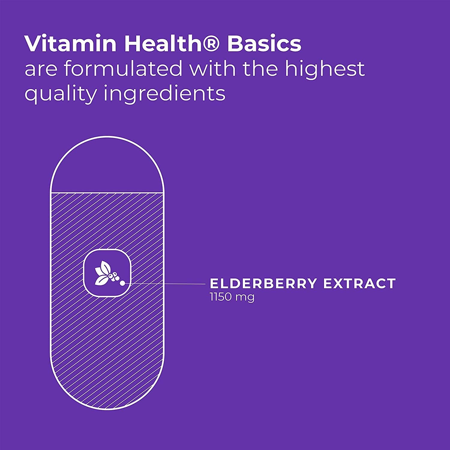 elderberry for seasonal immune defense