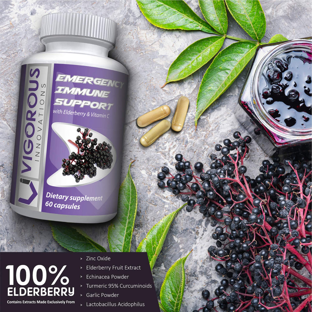 elderberry formula for seasonal support