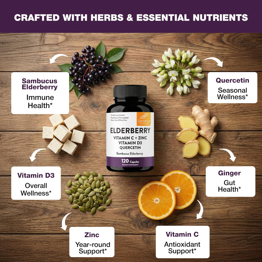 Elderberry fruit extract benefits