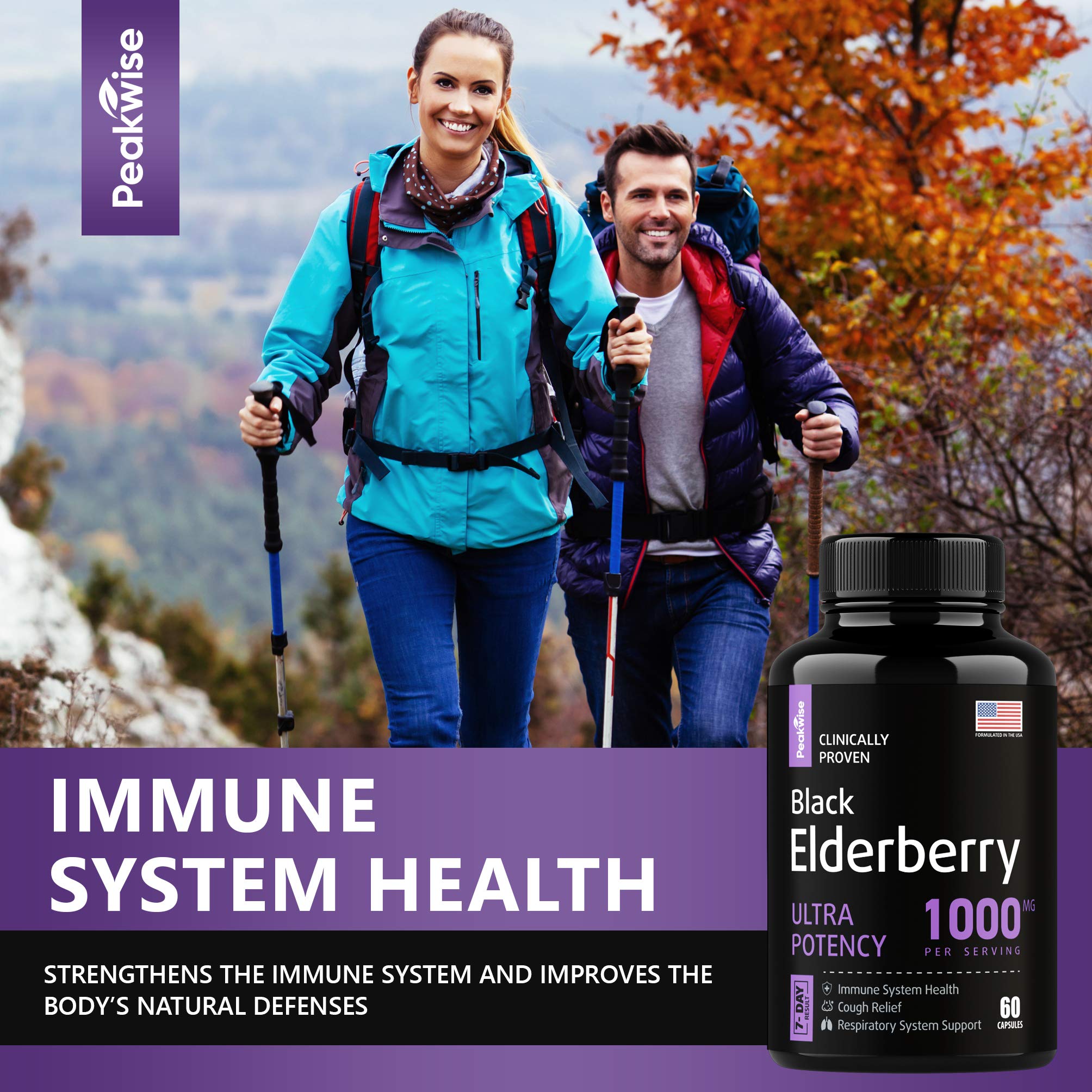 Elderberry fruit extract for health