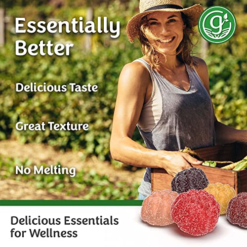 Elderberry gummies for a delicious health boost