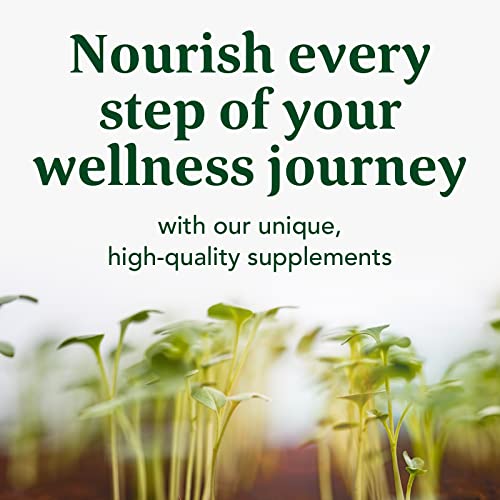Elderberry gummies for a healthier lifestyle