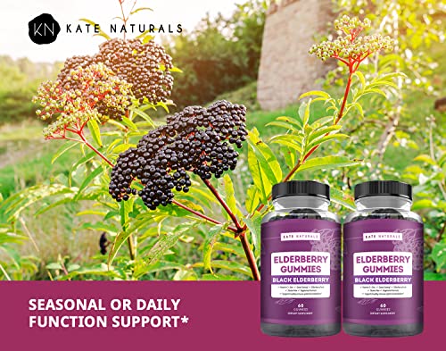 elderberry gummies for a healthy lifestyle