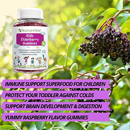 Elderberry gummies for cold season