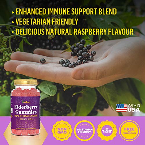 Elderberry gummies for cold season