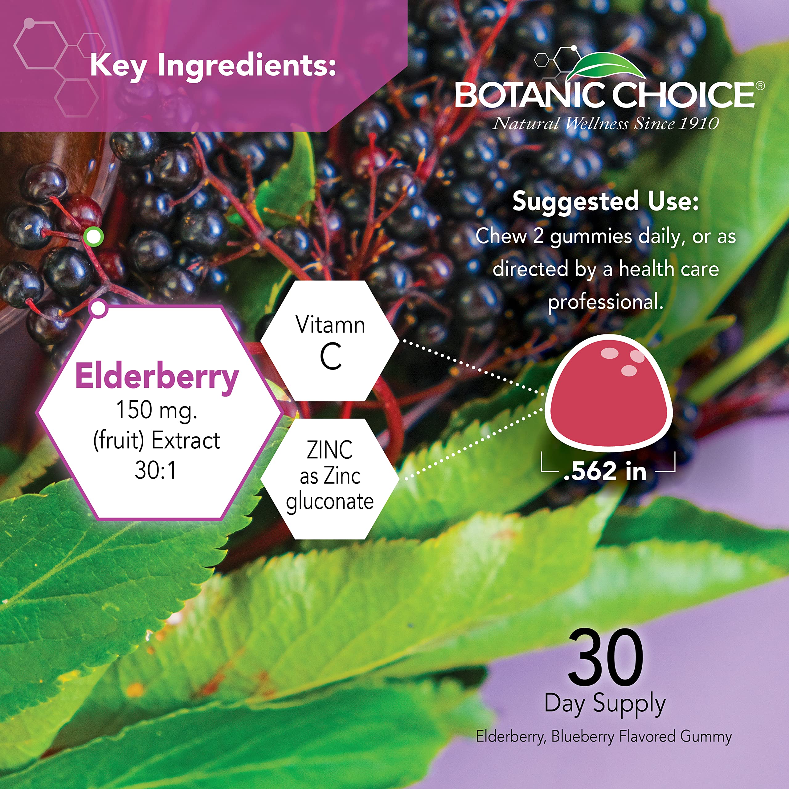 elderberry gummies for daily immune support