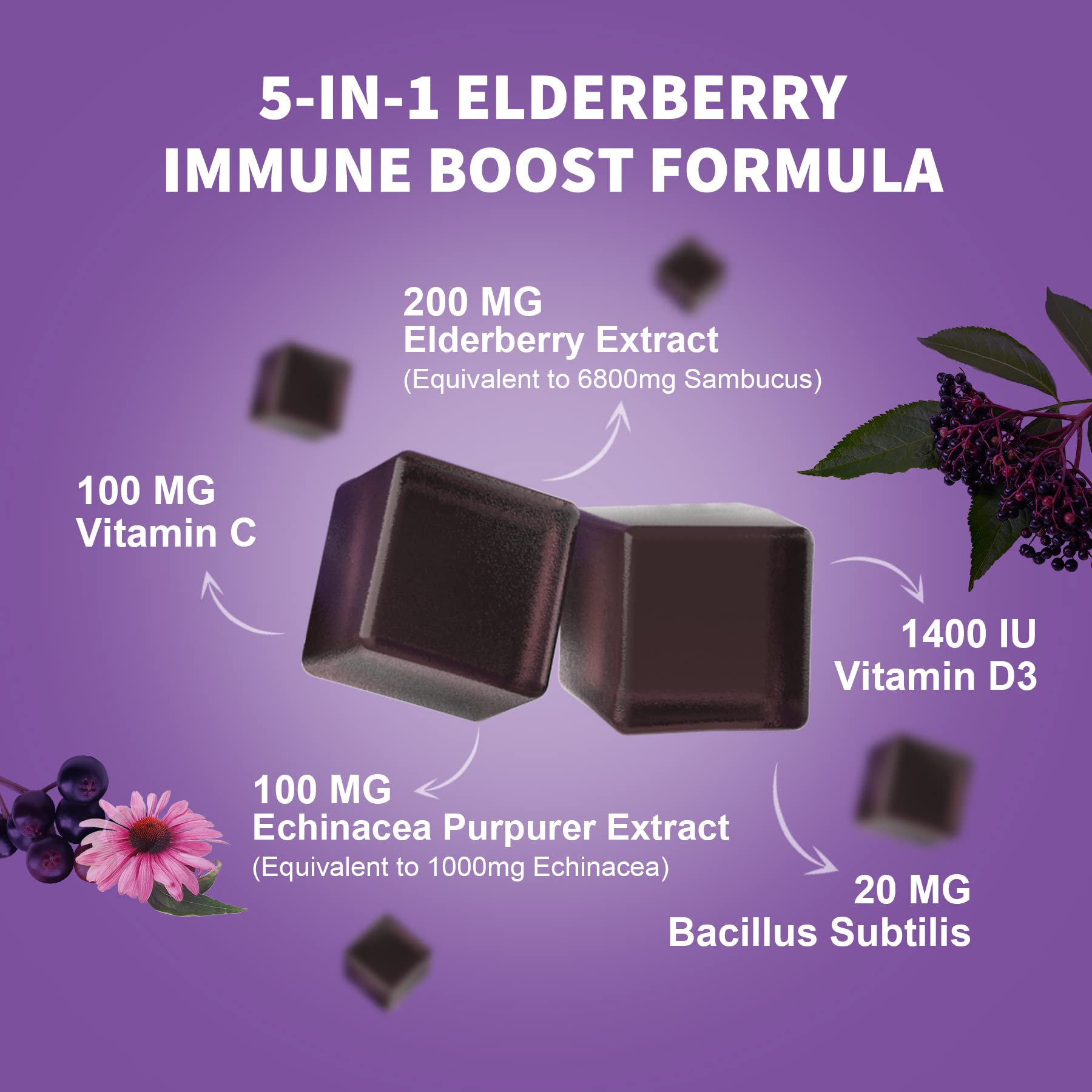 Elderberry gummies for daily wellness