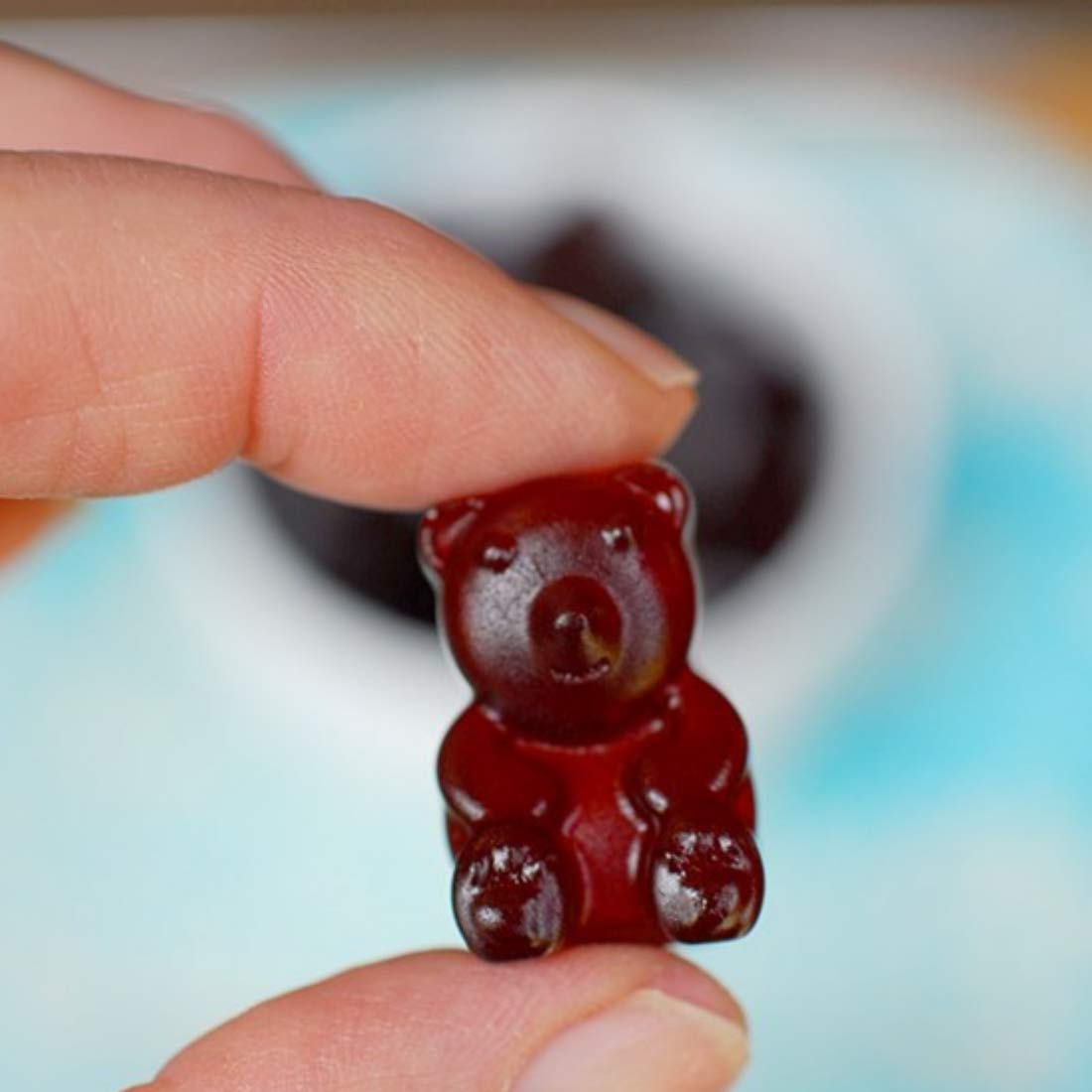 elderberry gummies for everyday health