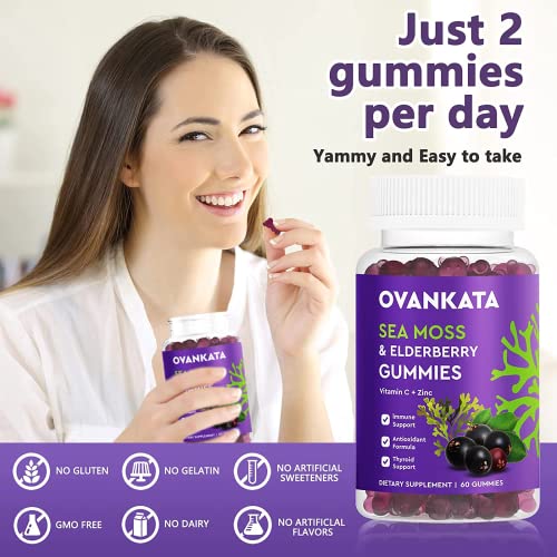 elderberry gummies for everyday health
