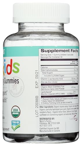 elderberry gummies for everyday vitality