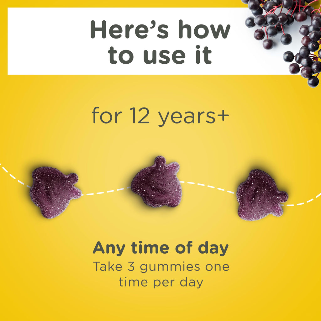 elderberry gummies for everyday wellness