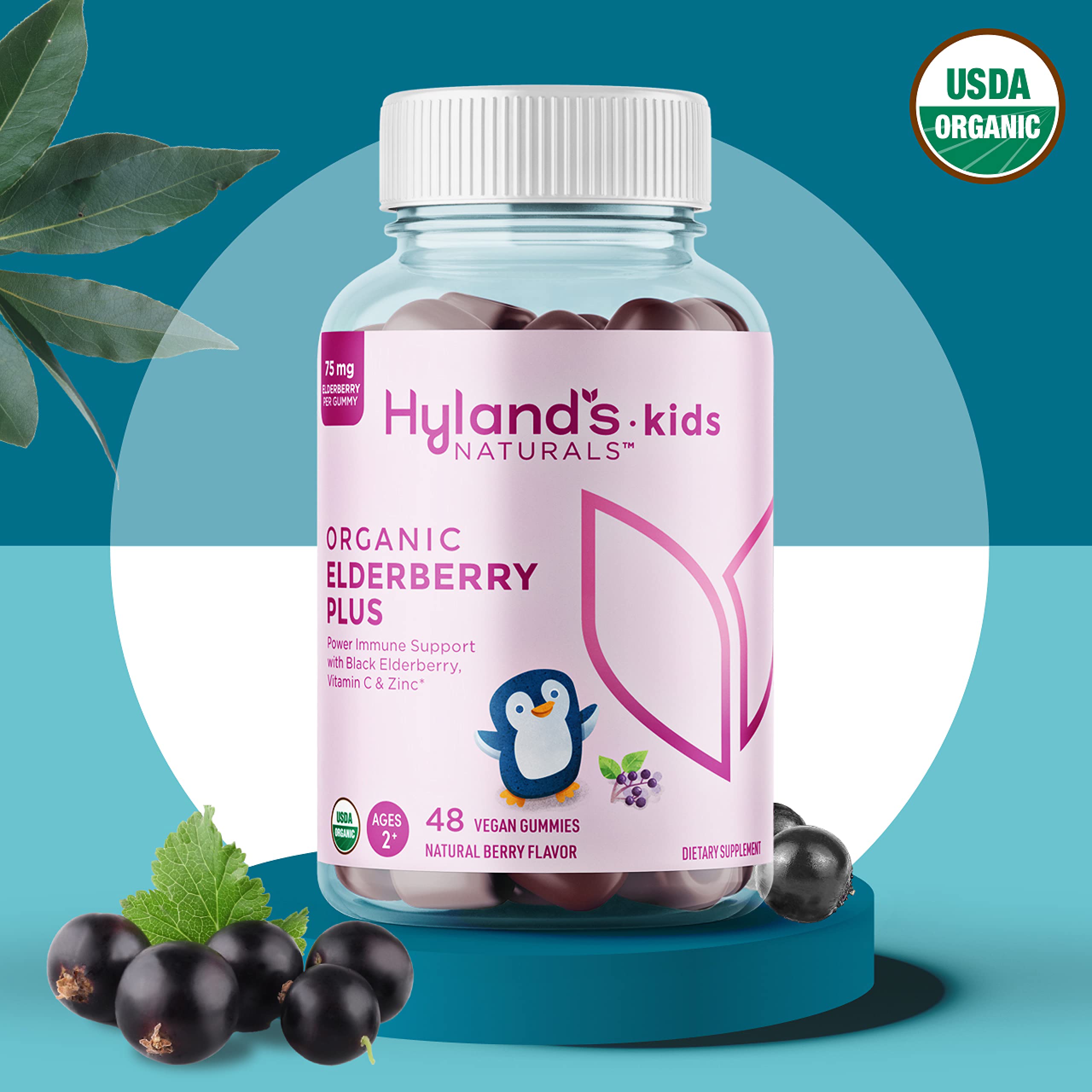 elderberry gummies for everyday wellness