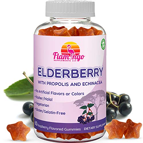 elderberry gummies for immune support