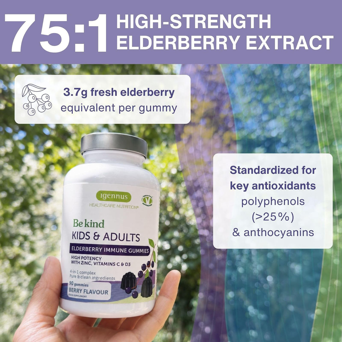 Elderberry gummies for immune support