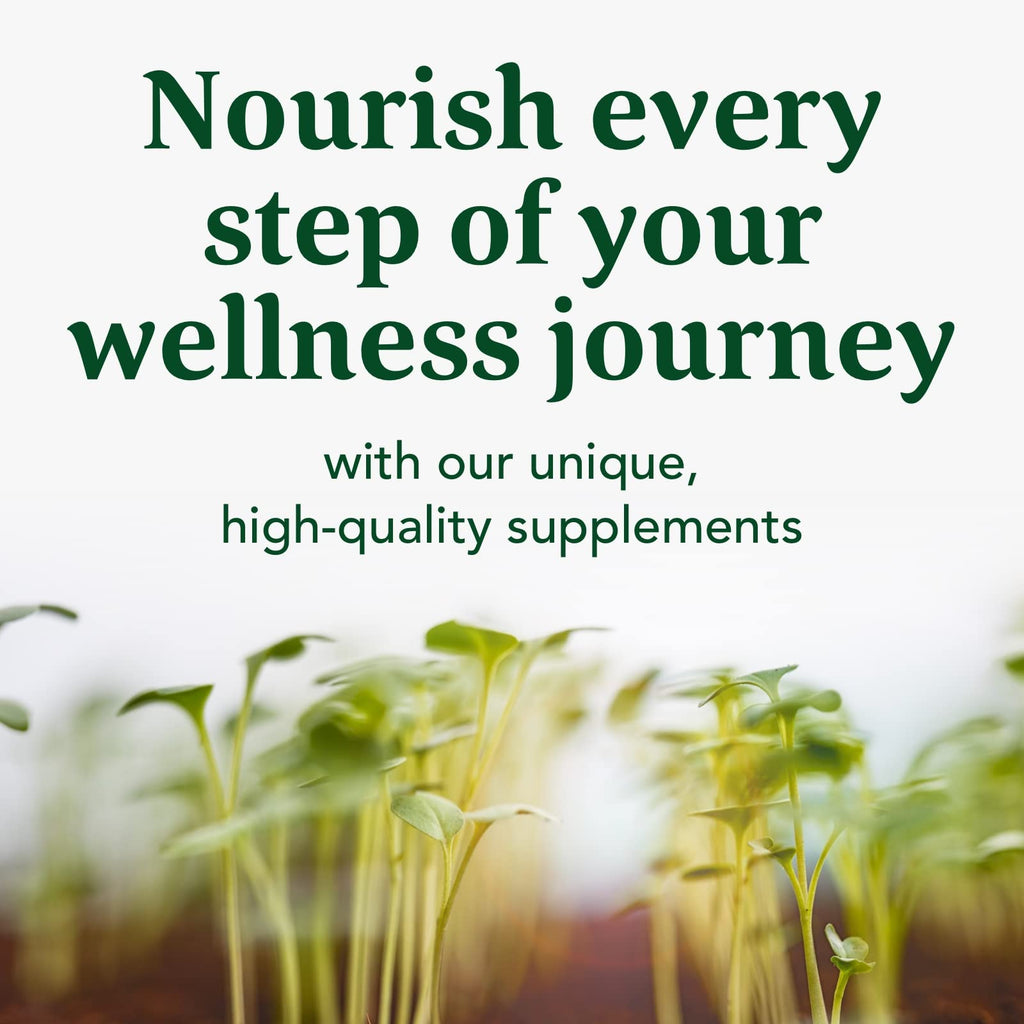 Elderberry gummies for overall wellness