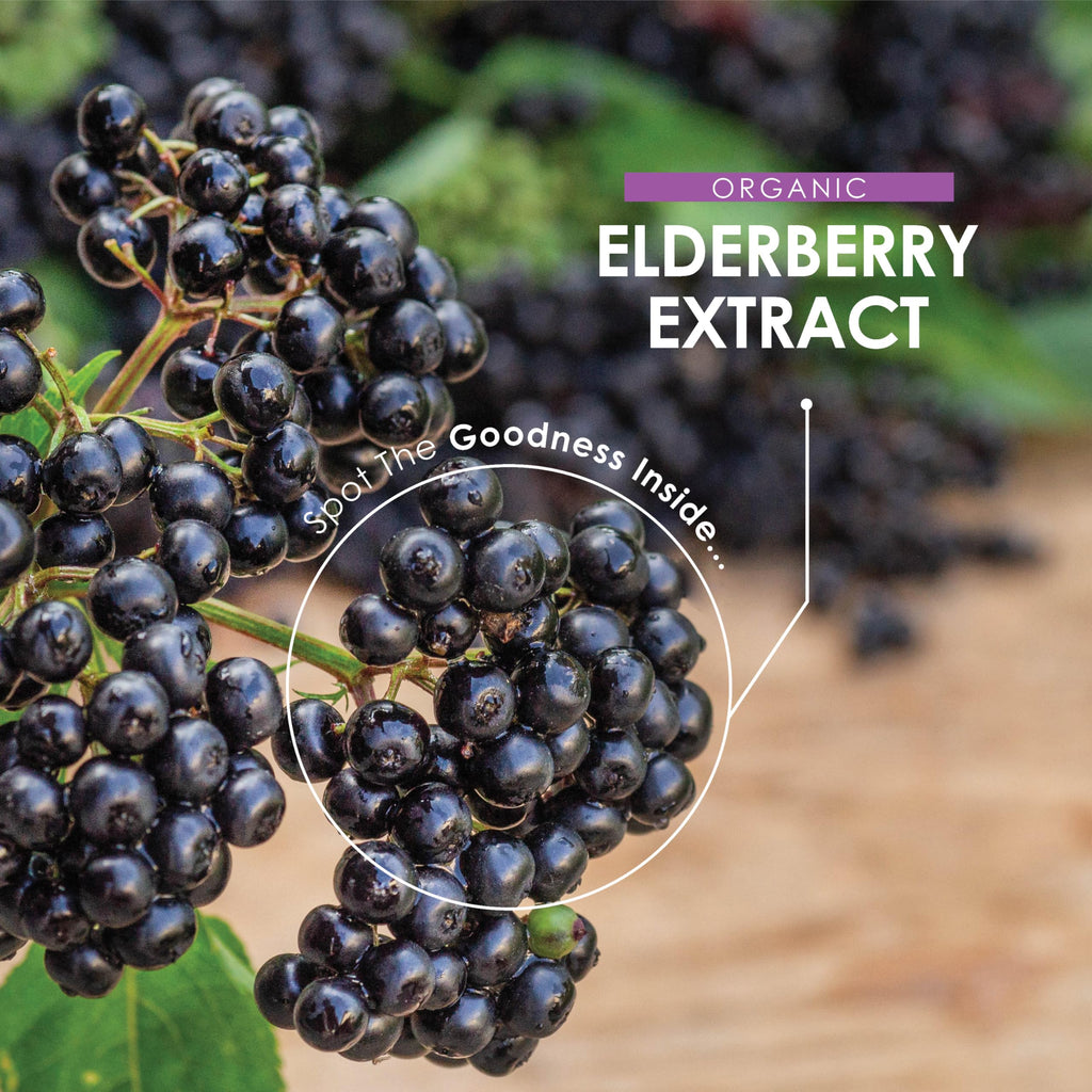 elderberry gummies for seasonal health