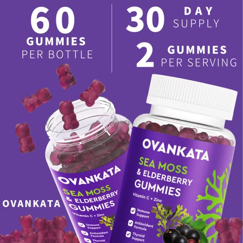 Elderberry gummies for seasonal support