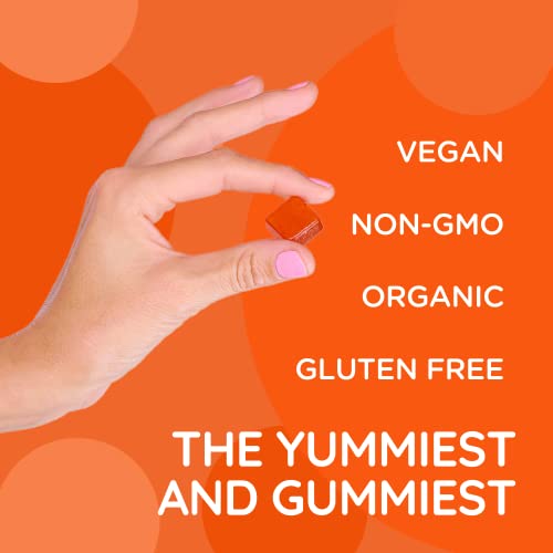 elderberry gummies for seasonal wellness