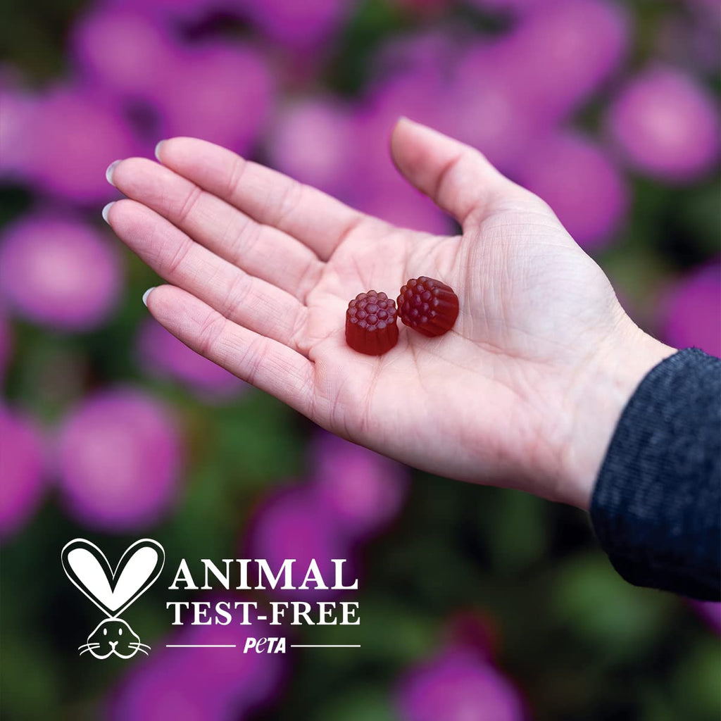 Elderberry gummies for tasty nutrition