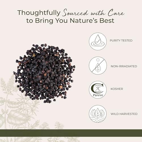 elderberry gummies recipe guide