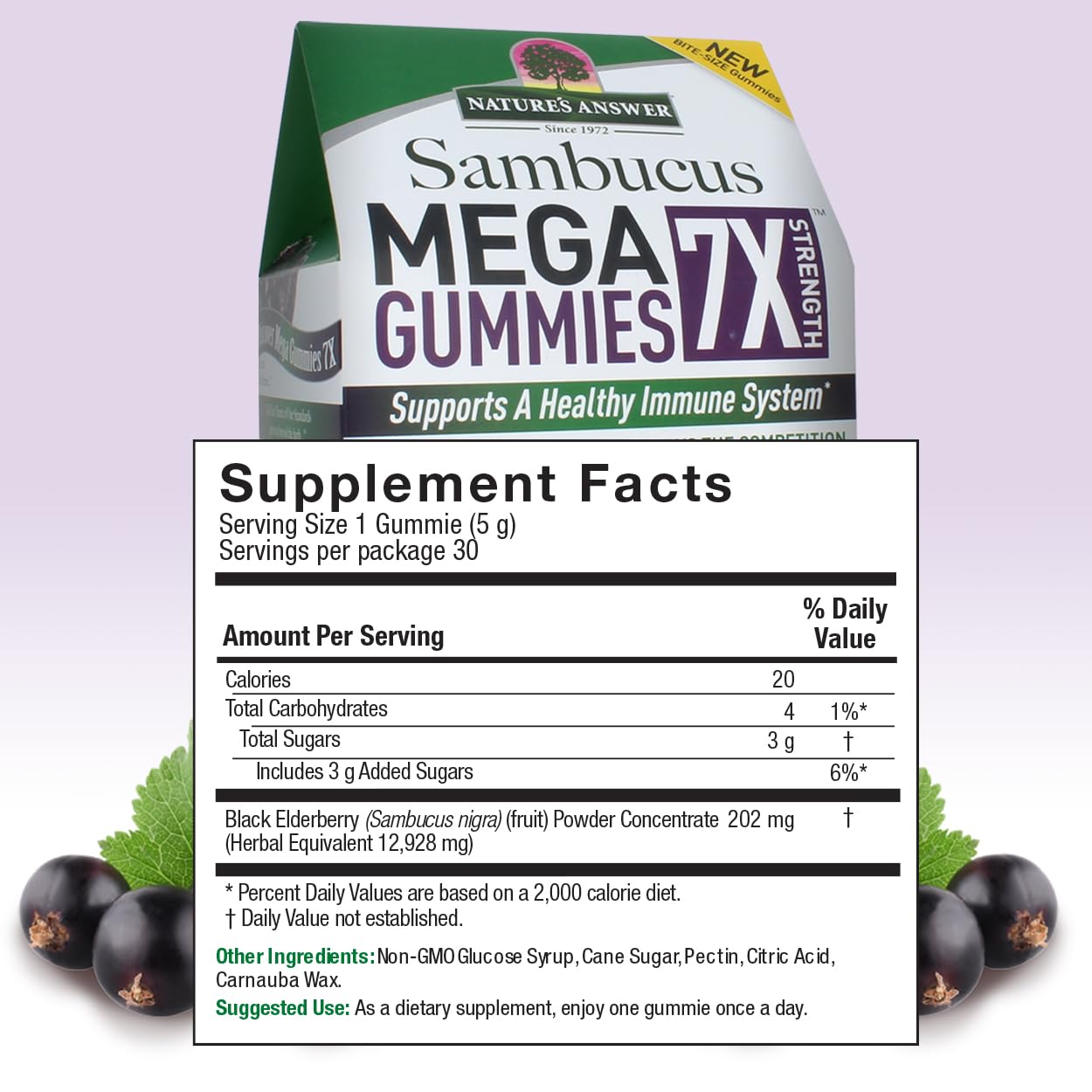 elderberry gummies with 7X concentration