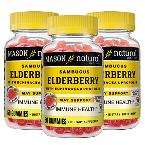 Elderberry gummies with echinacea benefits