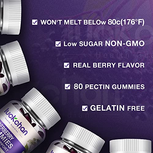 elderberry gummies with echinacea