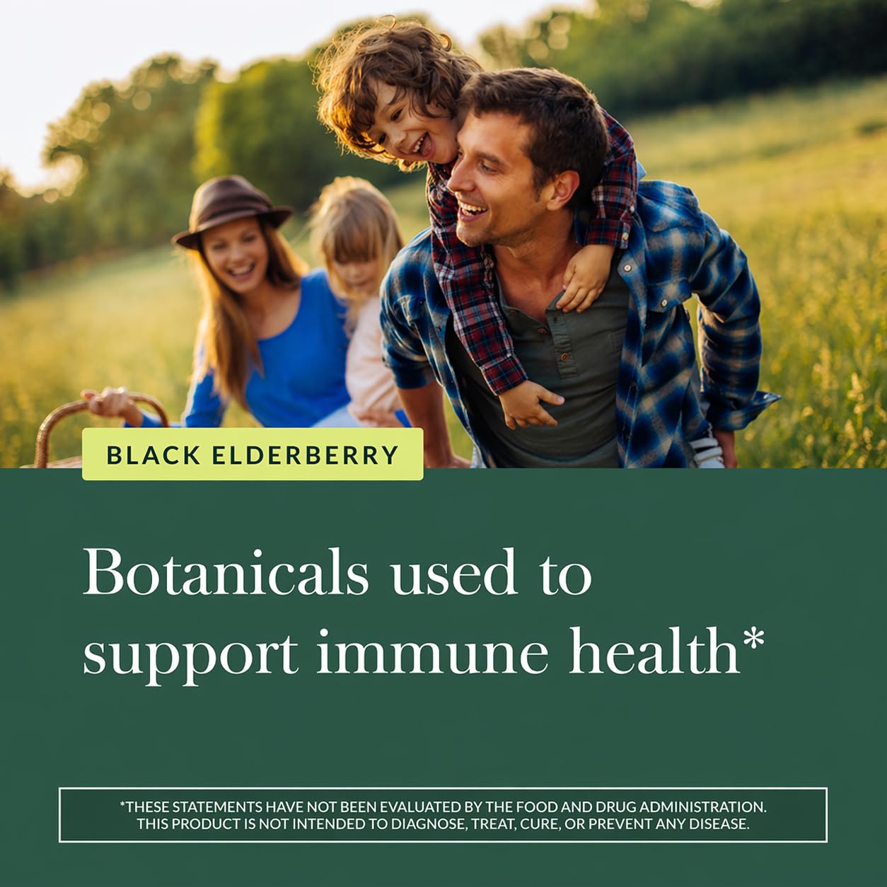 elderberry gummies with no artificial flavors