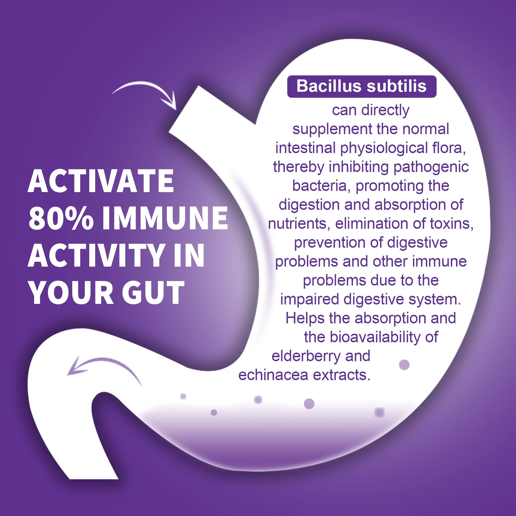 elderberry gummies with probiotics