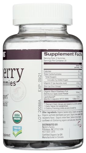 elderberry gummies with zinc benefits
