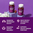 elderberry gummies with zinc for wellness