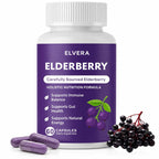Elderberry gut support capsules