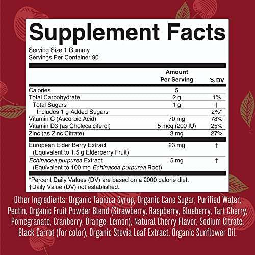 Elderberry immune support for winter