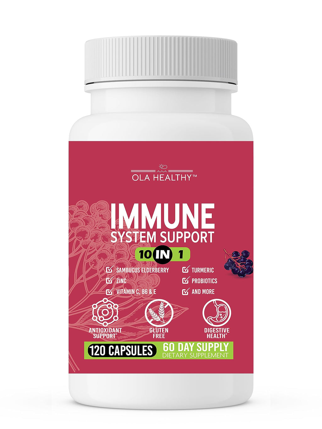 elderberry immune support supplement