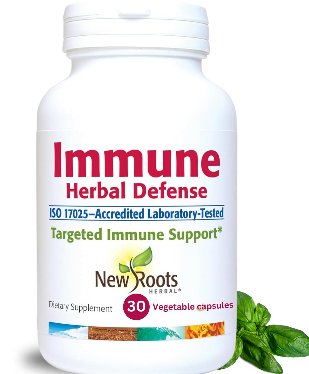 Elderberry immune support supplement