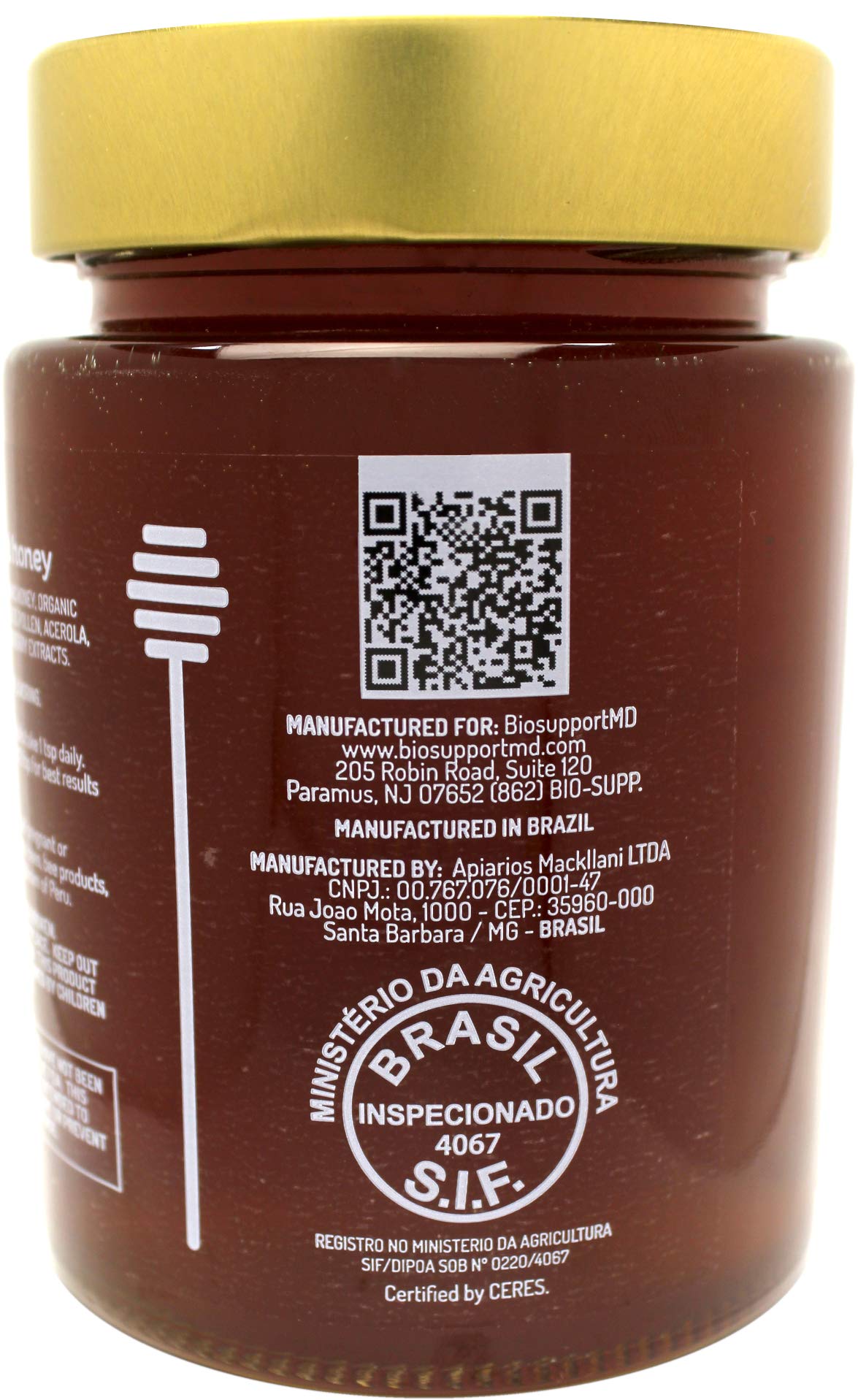 elderberry immune system support
