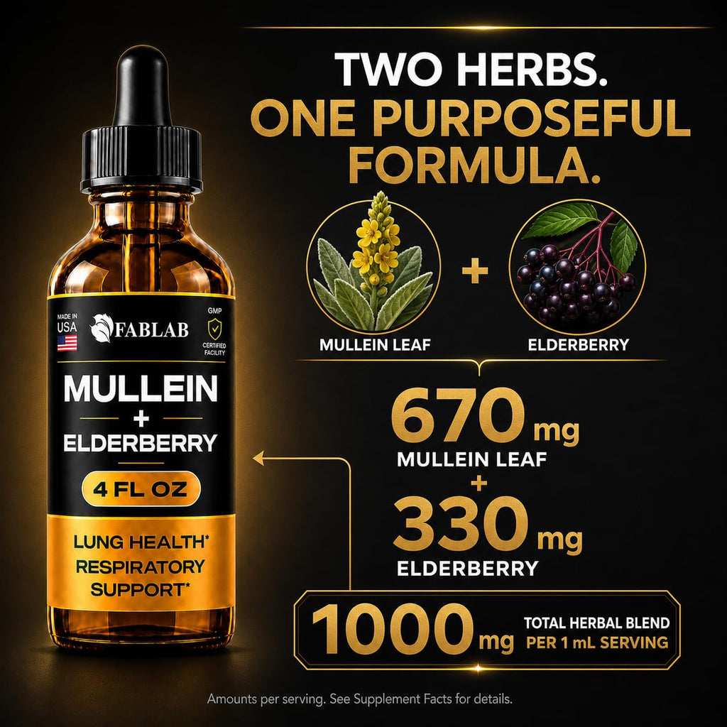Elderberry infused Mullein tincture benefits