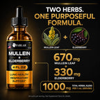 Elderberry infused Mullein tincture benefits