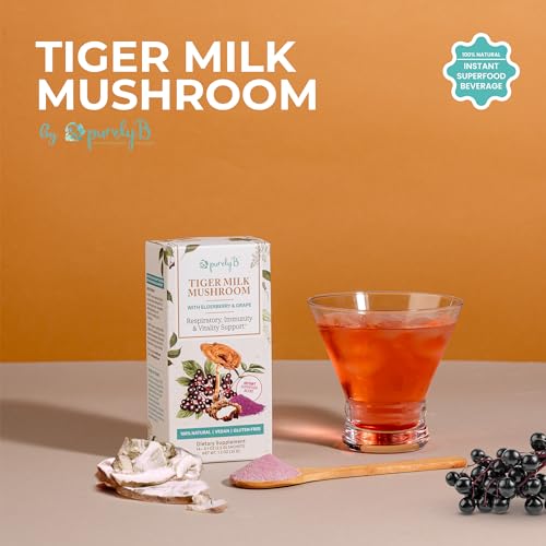 Elderberry infused mushroom health powder