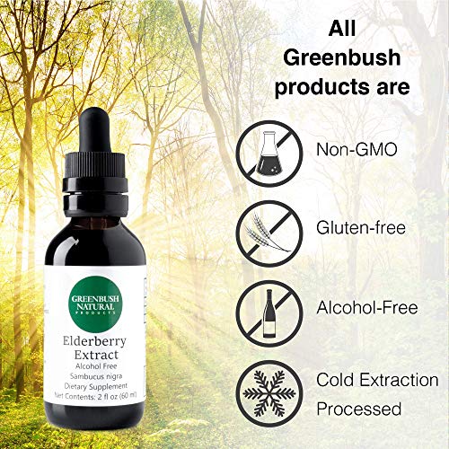 elderberry liquid for overall health support