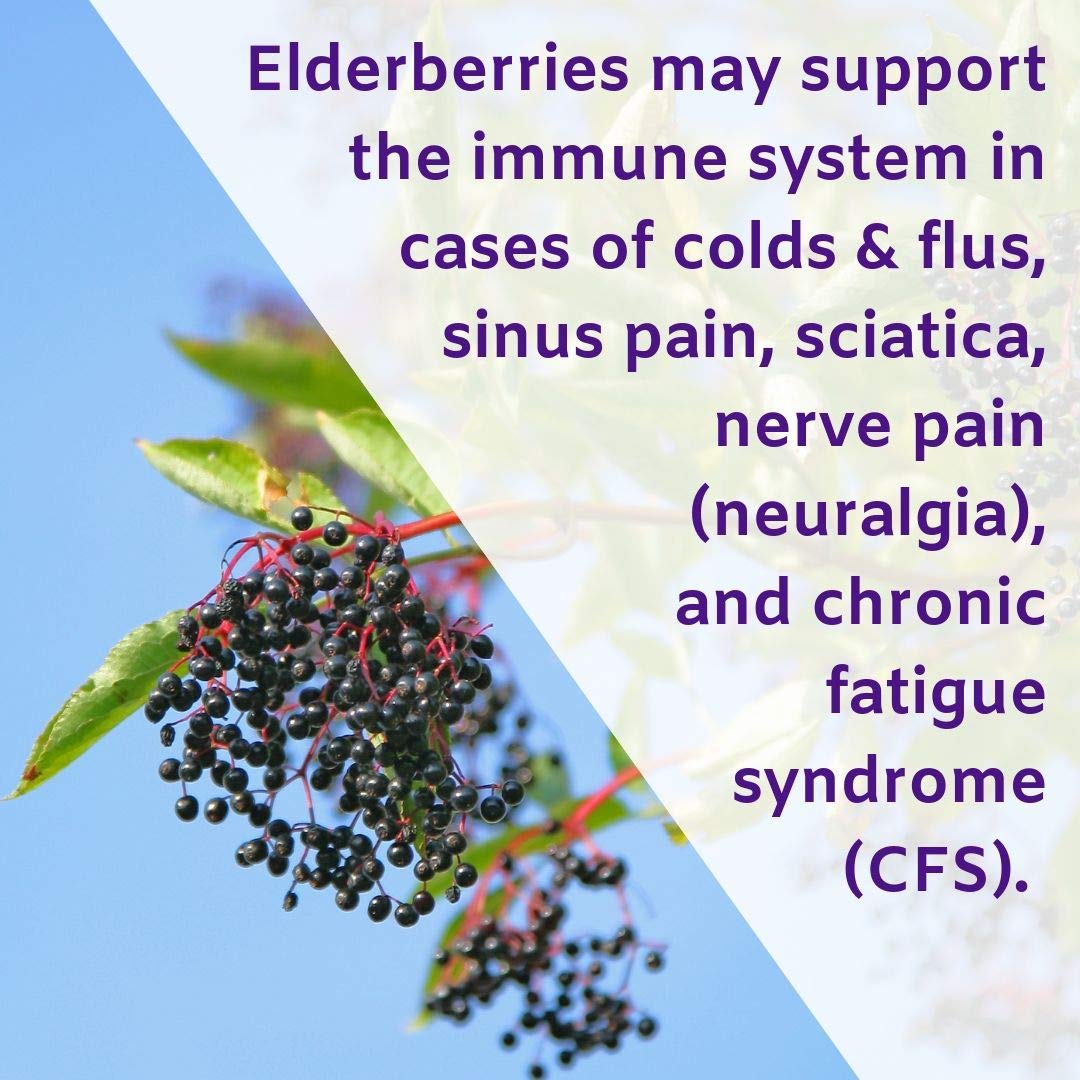 elderberry pie recipe ingredients