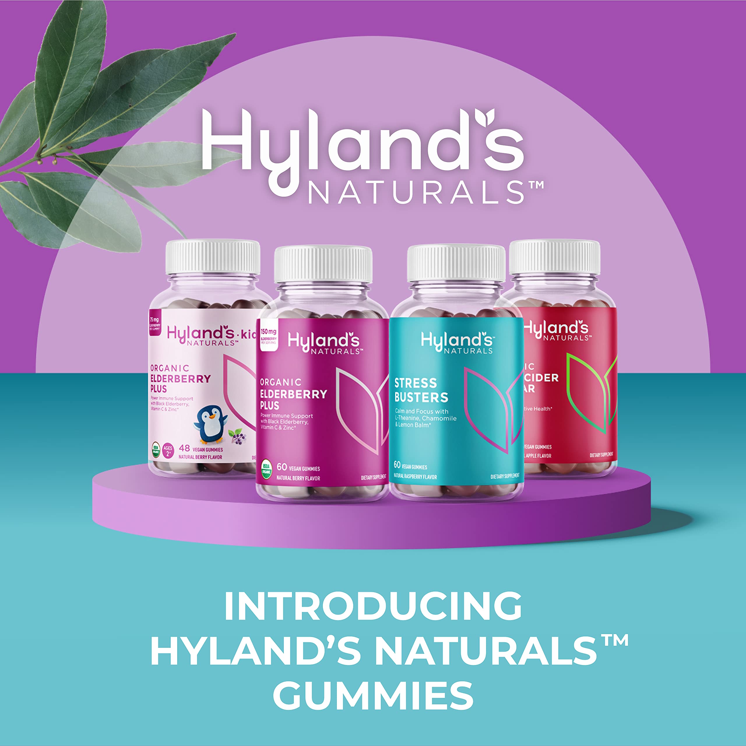 elderberry plus gummies for daily health