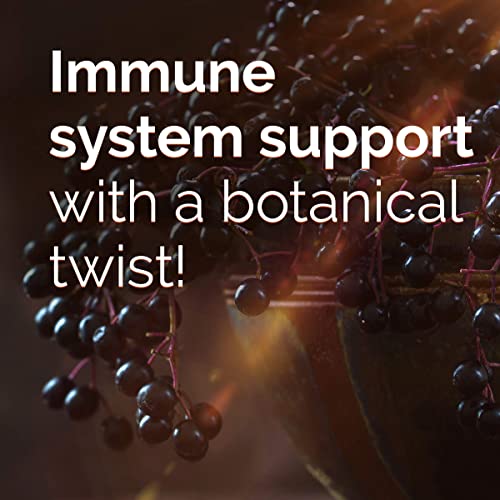 Elderberry powder for cold relief