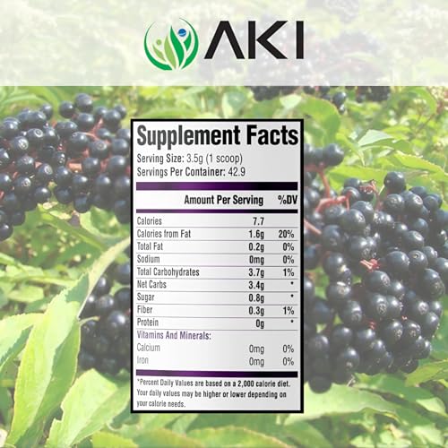 elderberry powder for natural wellness